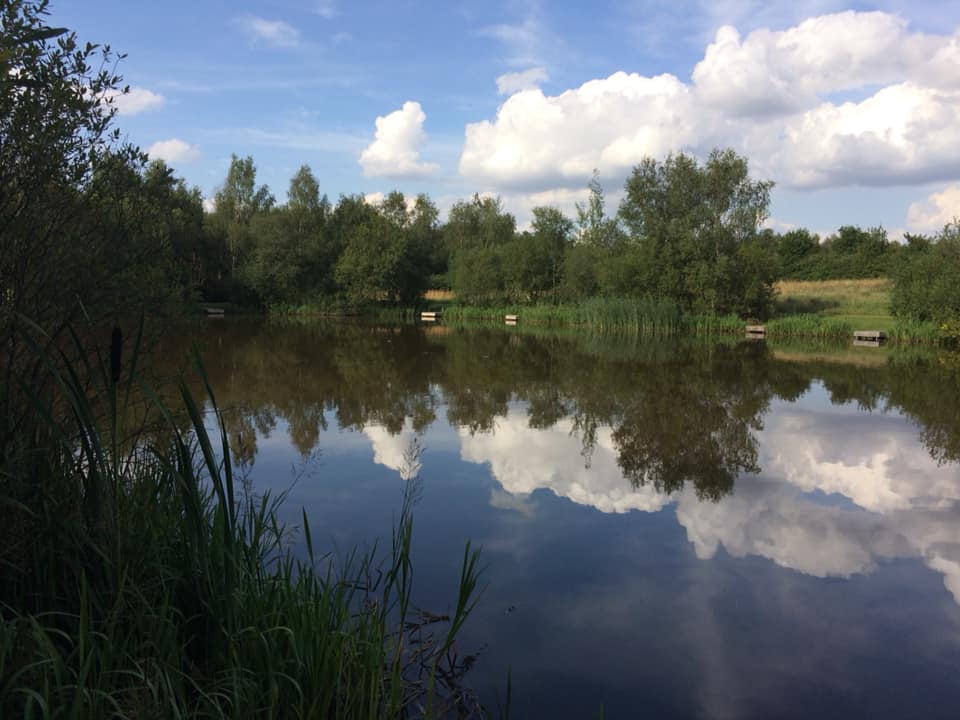 Spring Wood - Ashby Angling Club